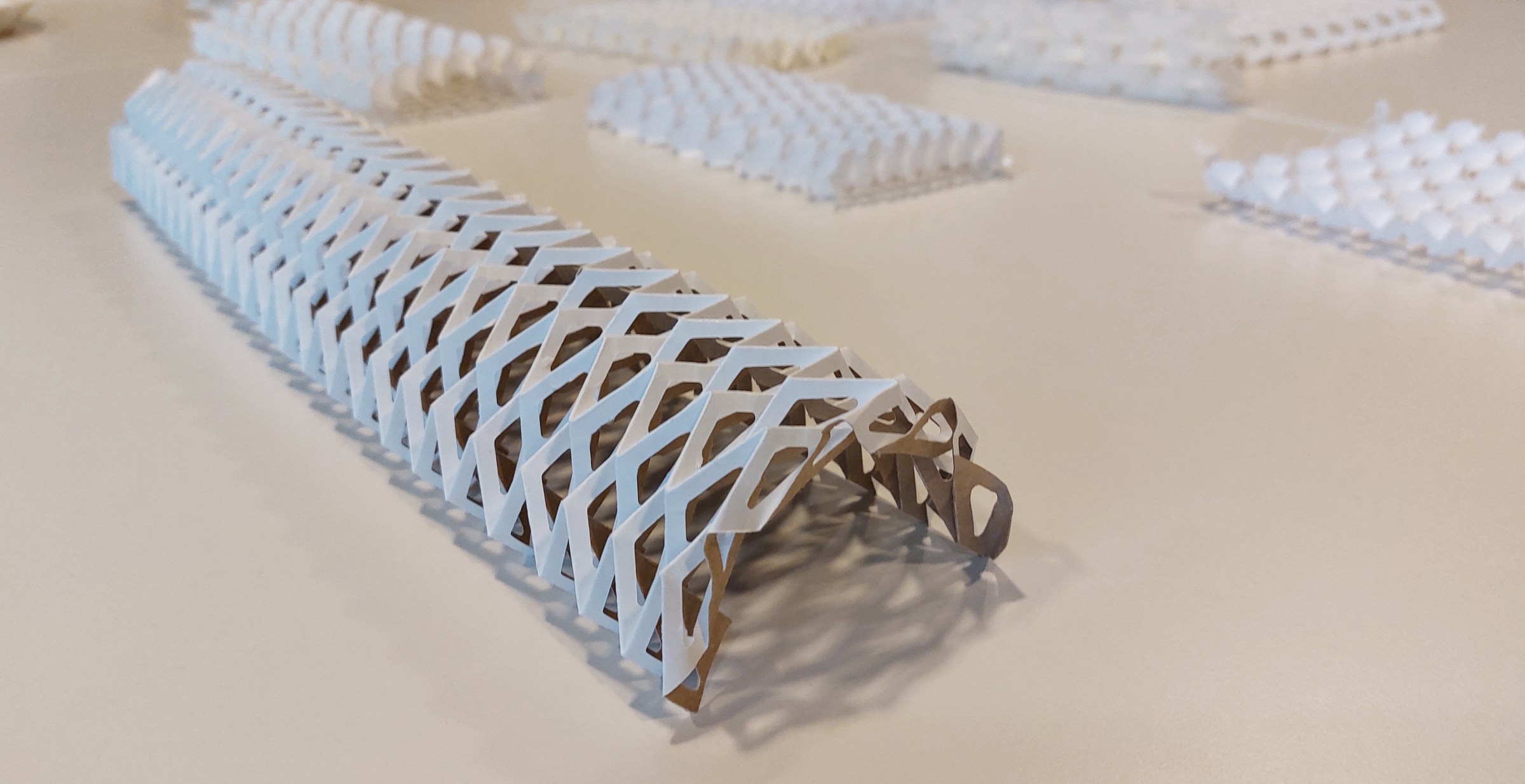 Progress & News – Fold Project